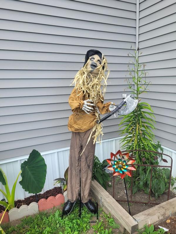 Haunted Hill Farm 5.9-ft Freestanding Laughing Lighted Scarecrow ...