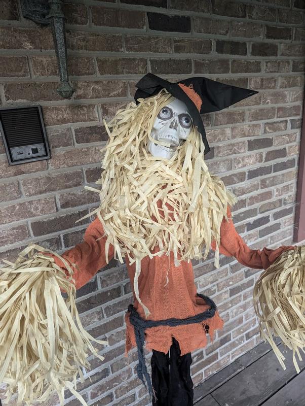 Haunted Hill Farm 5-ft Freestanding Moaning Lighted Scarecrow ...