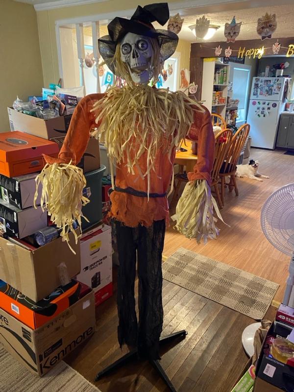 Haunted Hill Farm 5-ft Freestanding Moaning Lighted Scarecrow ...