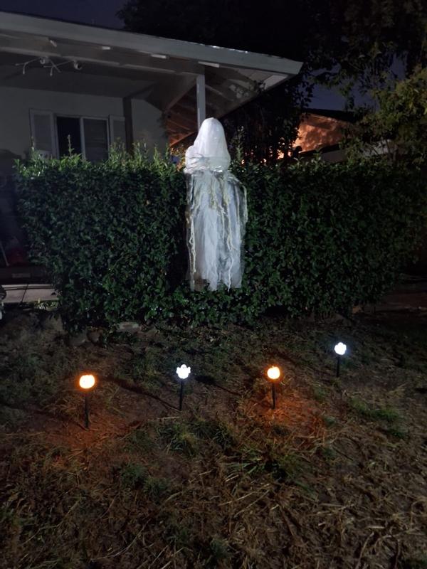 Haunted Hill Farm Life-Size Animatronic Ghoul, Indoor/Outdoor Halloween ...