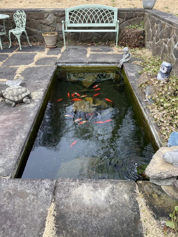 Alpine Corporation Liquid Filter (1000-Gallon) PLF1000 at Lowes.com