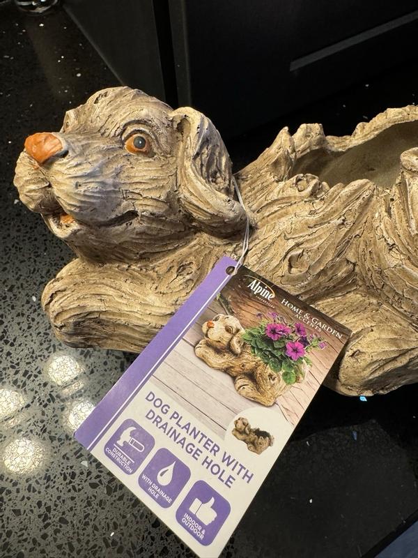 Alpine Corporation 5-in W Small Multiple Colors/Finishes Resin Indoor ...