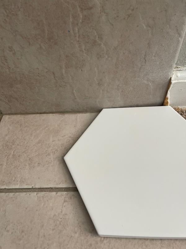 Apollo Tile Pearl White 8-in x 9-in Matte Porcelain Hexagon Floor and ...