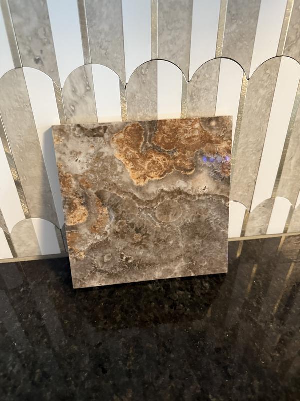 Apollo Tile Splendor Brown 24-in x 48-in Polished Porcelain Cement look ...