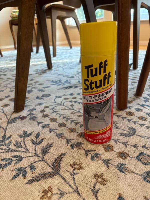 Tuff Stuff 22-oz Foam Car Interior Cleaner 13147WB at Lowes.com