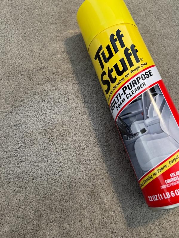 Tuff Stuff 22-oz Foam Car Interior Cleaner 13147WB at Lowes.com