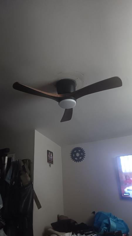 Duclsaty Traditional / Classic Fan 42-in Brown/Black with Stained Wood ...