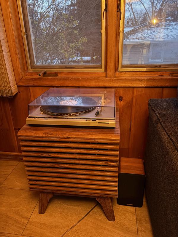 Modway Render Vinyl Record Display Stand in Walnut in the Accent ...