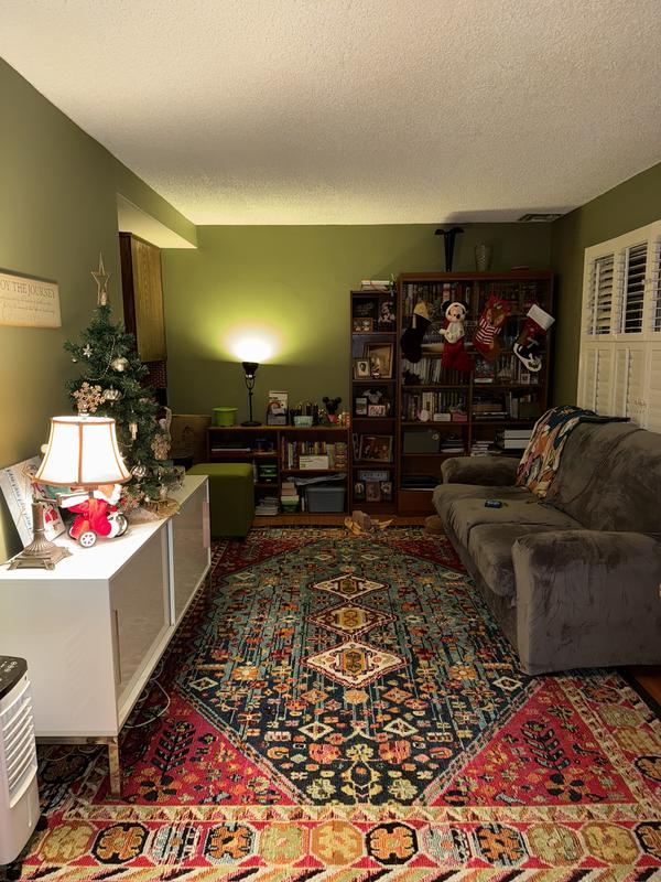 nuLOOM 5 x 5 (ft) Loomed Polypropylene Black Round Indoor Distressed ...