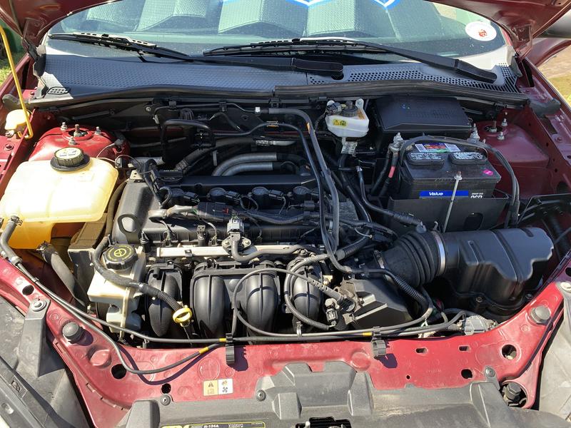 STP Pro Formula Conventional Engine Oil 5W-20 5 Quart Reviews