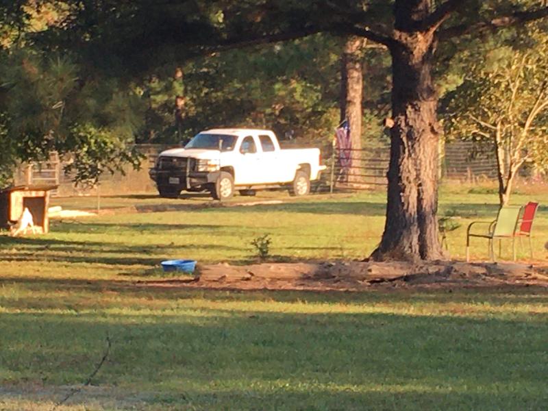 Shell ROTELLA Engine Oil Filter RTO59