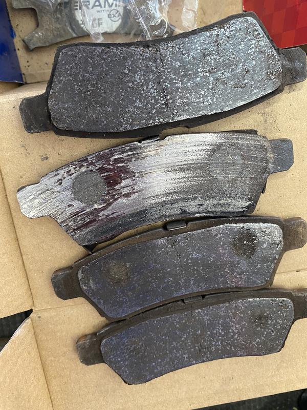 Duralast Disc Brake Pad Set D1100 Reviews