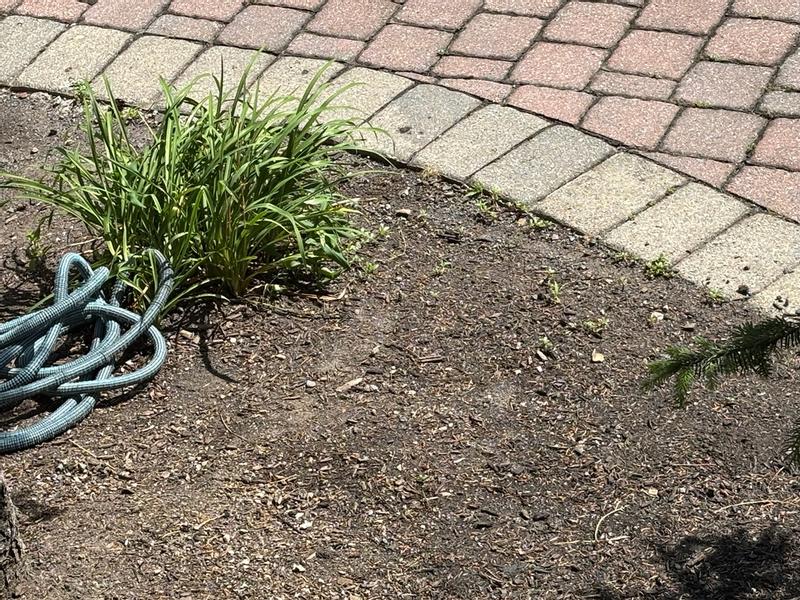 Master Mark 20-ft x 5-in Terrace Board Brown Plastic Landscape edging ...