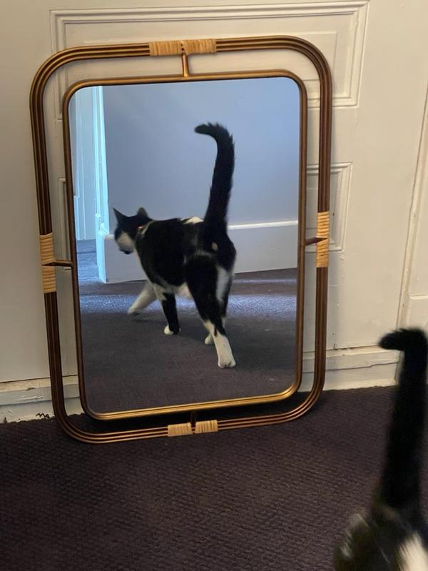 19.69-in W x 27.56-in H Rectangle Brown Framed Wall Mirror in the ...