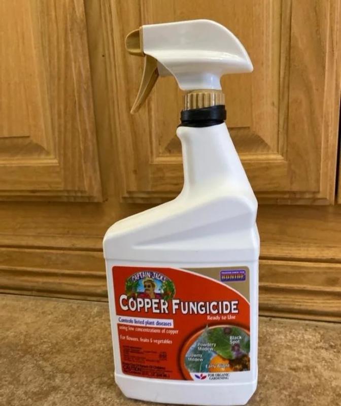 Bonide Captain Jack's Concentrated Liquid Disease and Fungicide Control ...