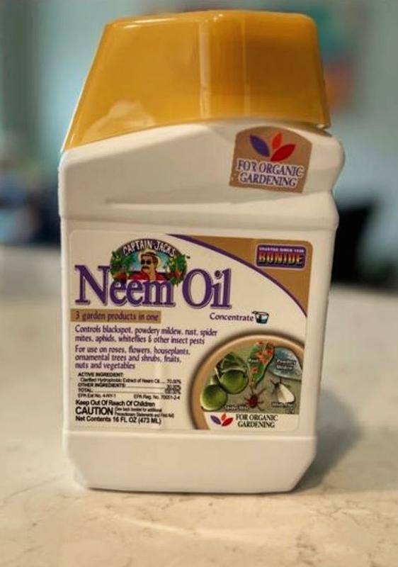 Bonide Neem Oil Concentrate 16 fl oz Organic Insecticide Fungicide ...