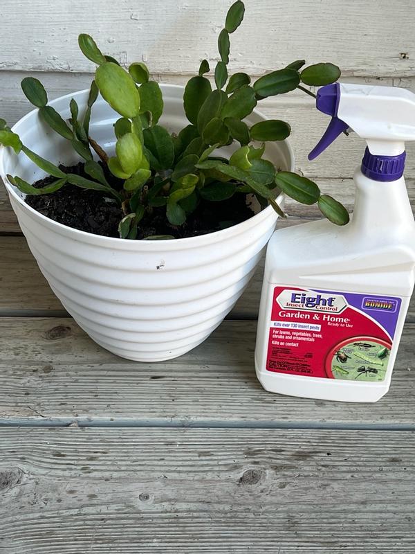 Bonide Eight YardandGarden Insect Killer Liquid 32 oz in the Insect ...