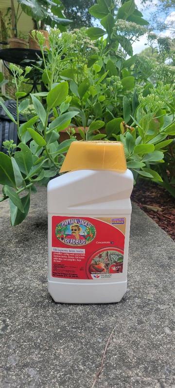 Bonide Captain Jack's Deadbug Brew 16 oz Concentrate Organic ...