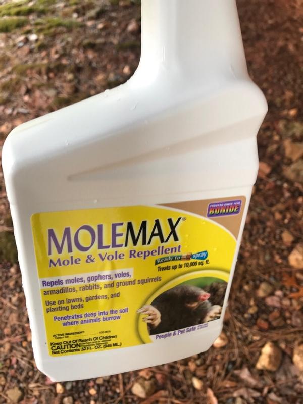 Bonide Molemax 32-fl oz Mole and Vole Repellent for Lawns, Gardens ...