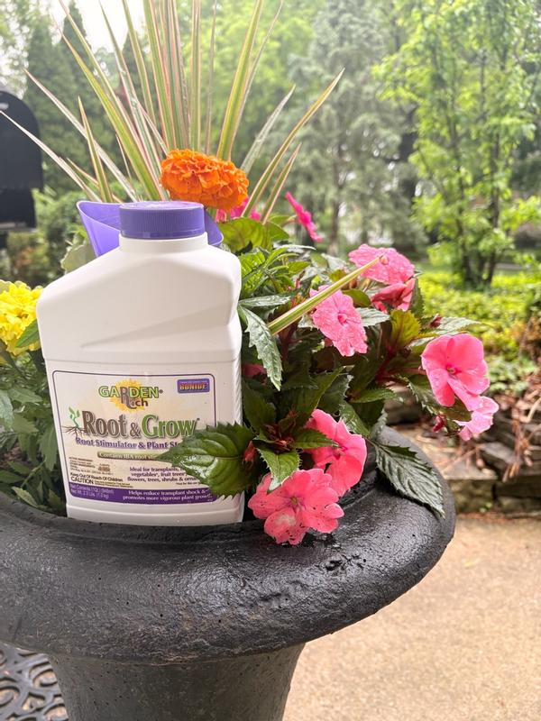 Bonide Garden Rich Root and Grow Liquid Root Stimulator and Plant ...