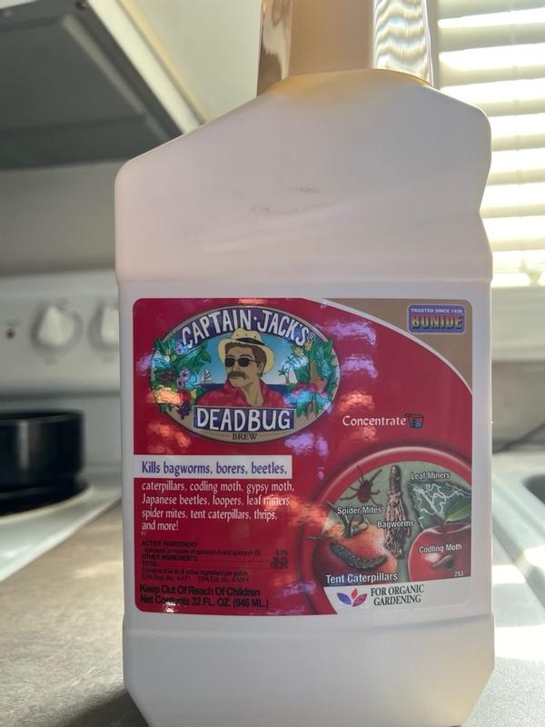 Bonide 16 oz. Captain Jack's Deadbug Brew, Concentrate Outdoor ...