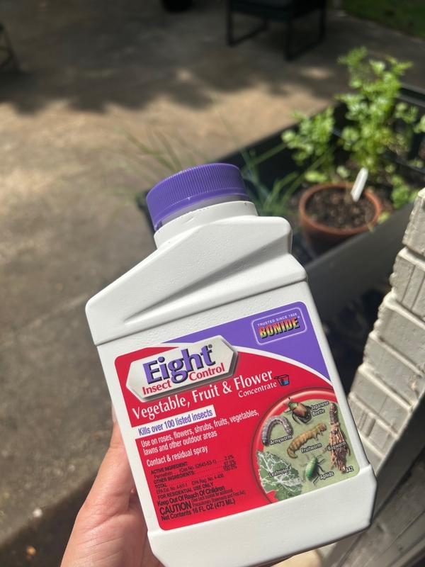 Bonide 1-Quart Eight Concentrate Garden Insect Killer 443 at Lowes.com