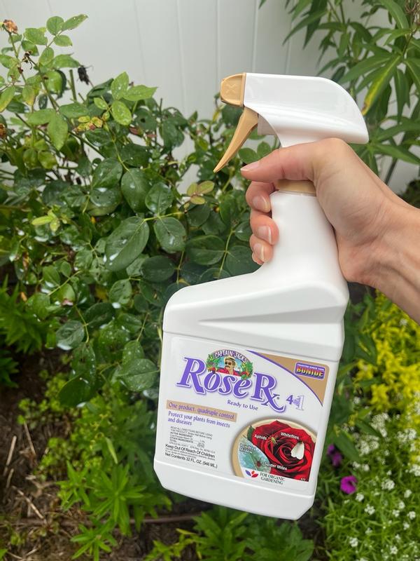 Bonide 32-oz Captain Jacks Natural Garden Insect Killer Trigger Spray ...