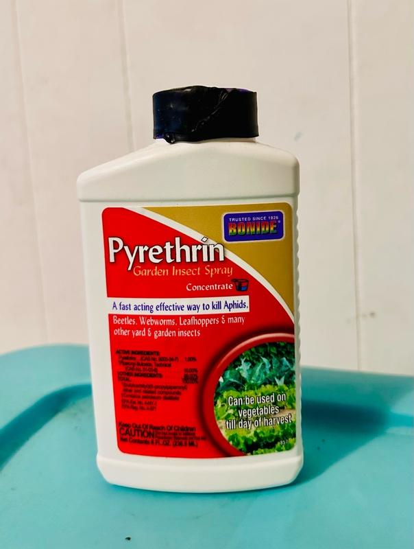 Bonide Pyrethrin Garden Insect Spray Concentrate 8 oz Fast Acting ...