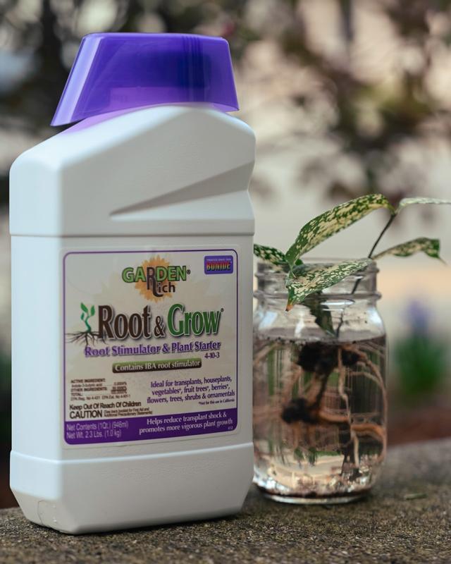 Bonide Garden Rich Root and Grow Liquid Root Stimulator and Plant ...