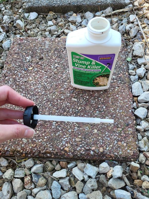 Bonide Vine Stump Killer Concentrate 8 Oz 2 Pack for Effective Weed ...