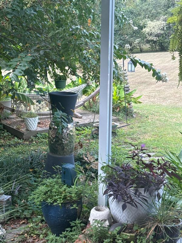 Bonide Eight Yard and Garden Insect Killer Ready to Use Permethrin 32 ...