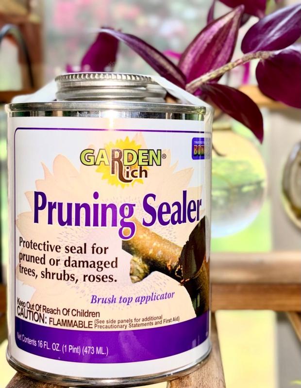 Bonide Pruning Seal for Trees - 16 oz - Antiseptic and Protective ...