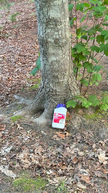 Bonide 128 oz. Annual Tree & Shrub Insect Control with Systemaxx ...
