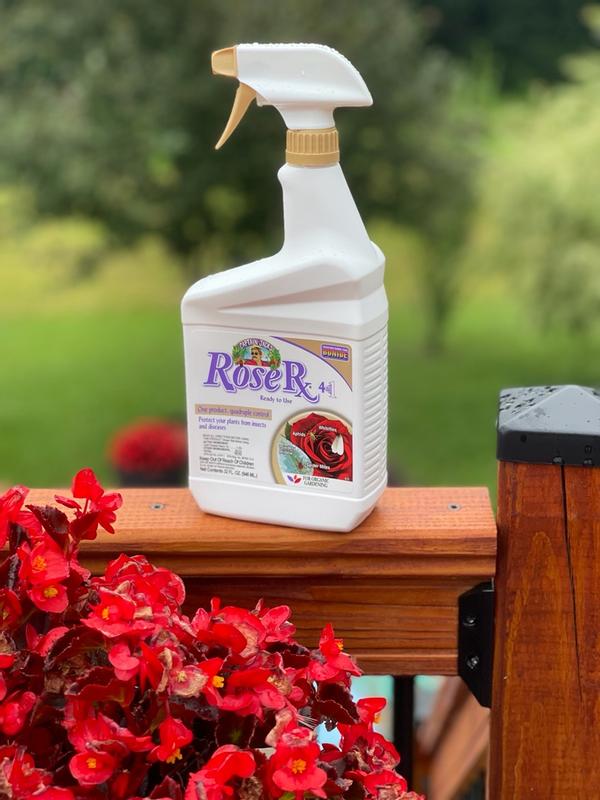 Bonide 32-oz Captain Jacks Natural Garden Insect Killer Trigger Spray ...