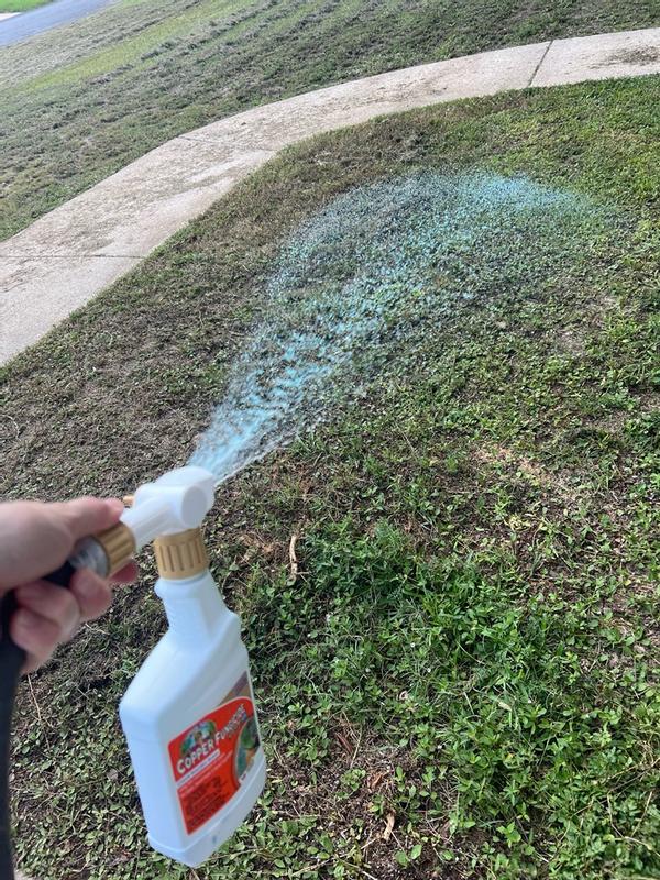 Bonide Captain Jack's Concentrated Liquid Disease and Fungicide Control ...