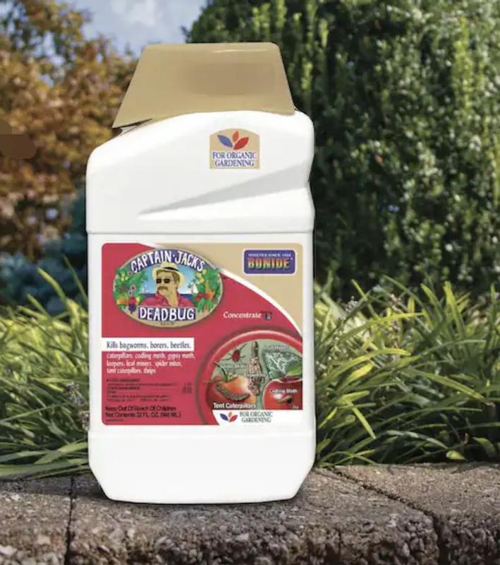 Bonide 1-Quart Captain Jack's Concentrate Natural Garden Insect Killer ...
