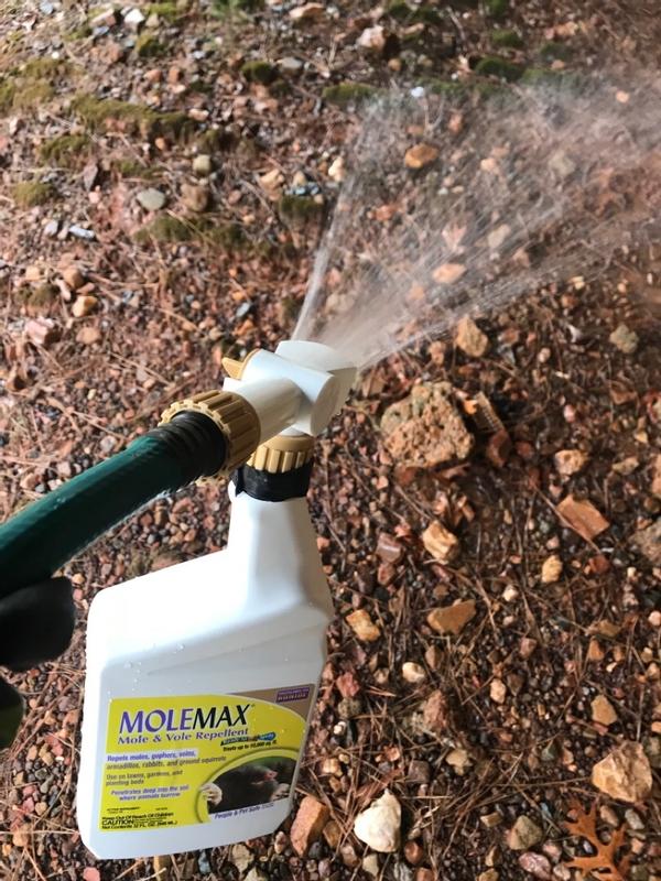 Bonide Molemax 32-fl oz Mole and Vole Repellent for Lawns, Gardens ...