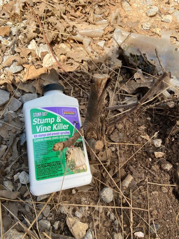 Bonide Vine Stump Killer Concentrate 8 Oz 2 Pack for Effective Weed ...