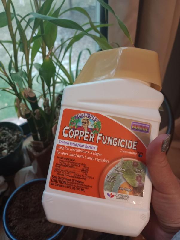 Bonide 16-fl oz Organic Natural Concentrated All-purpose 811 at Lowes.com
