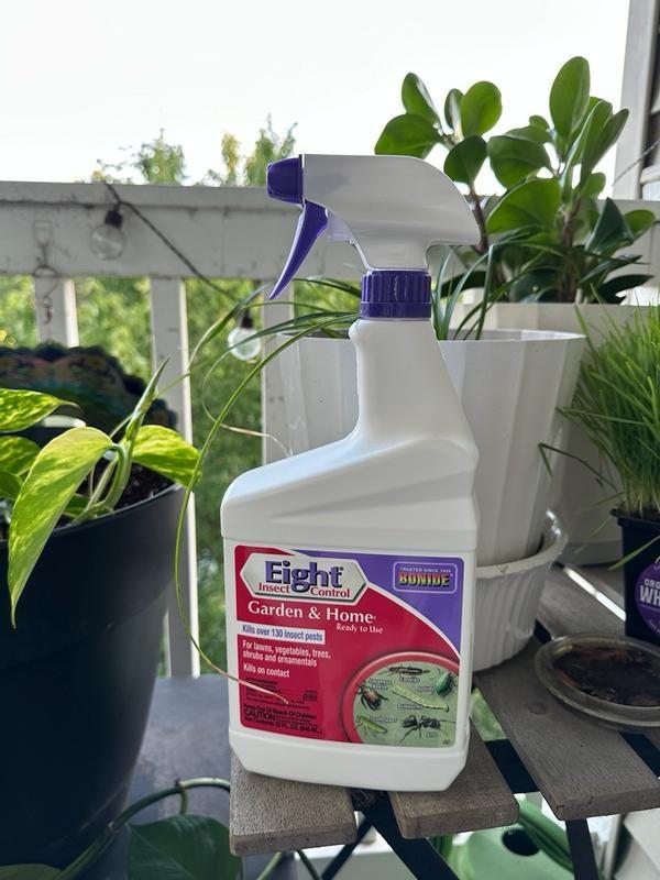 Bonide Eight YardandGarden Insect Killer Liquid 32 oz in the Insect ...