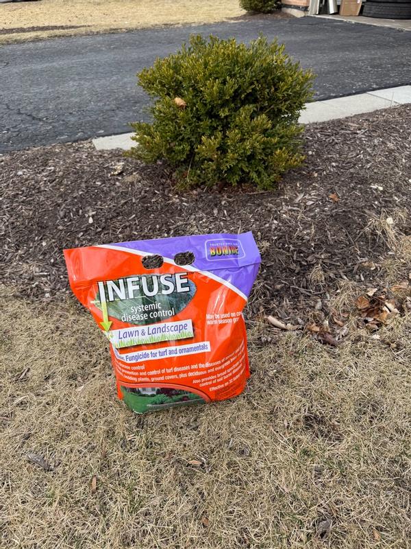 Bonide Granules Disease Control 7.5 lb in the Weed Preventers ...