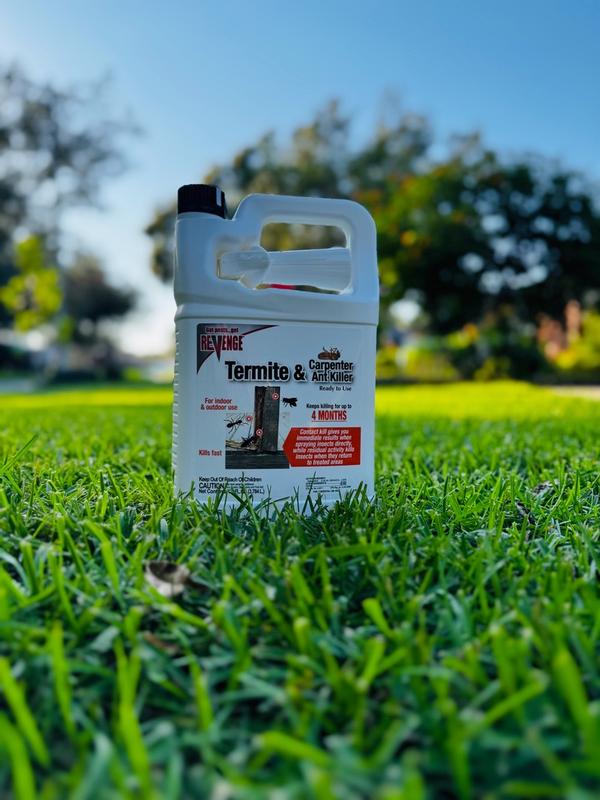 Bonide TermiteandCarpenter Ant Insect Killer Liquid 32 oz in the Insect ...