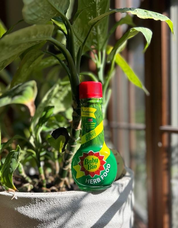 Baby Bio 5.9-fl oz 4-5-4 Liquid Vegetable Food 800530A at Lowes.com