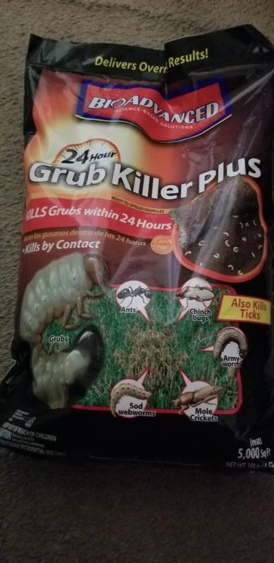 BAYER ADVANCED 10-lb 24 Hour Grub Killer Plus Grub Killer in the ...