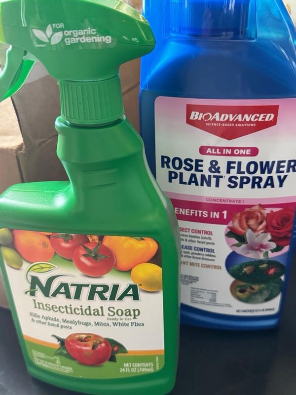 Natria 1-Gallon Insecticidal Soap Ready-to-use Garden Insect Killer ...