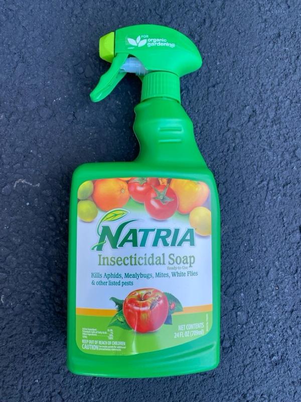 Natria 1-Gallon Insecticidal Soap Ready-to-use Garden Insect Killer ...