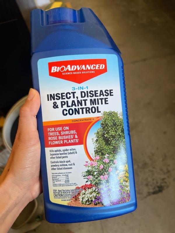 BioAdvanced 3-in-1 Insect, Disease & Plant Mite Control, Non-Neonic ...