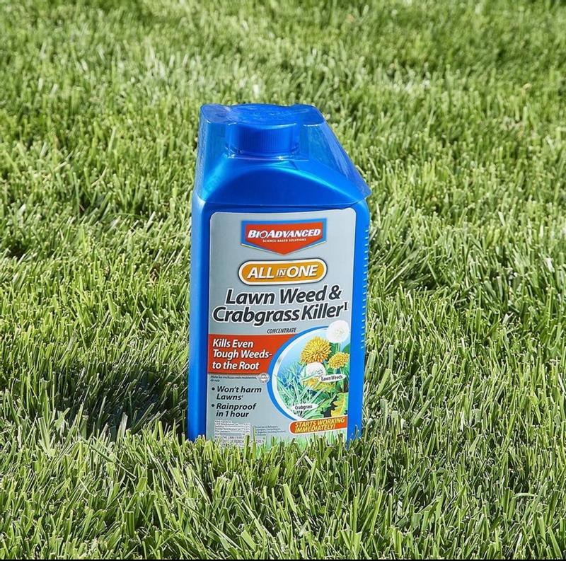 BioAdvanced 1 gal. All in One Lawn Weed and Crabgrass Killer I ...
