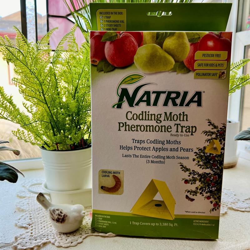 BioAdvanced Codling Moth Pheromone Trap Outdoor Moth repellent in the ...