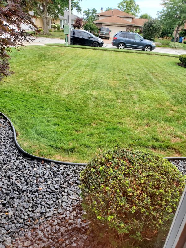 BioAdvanced Season-Long Lawn Weed Control Concentrate 29 fl oz in the ...